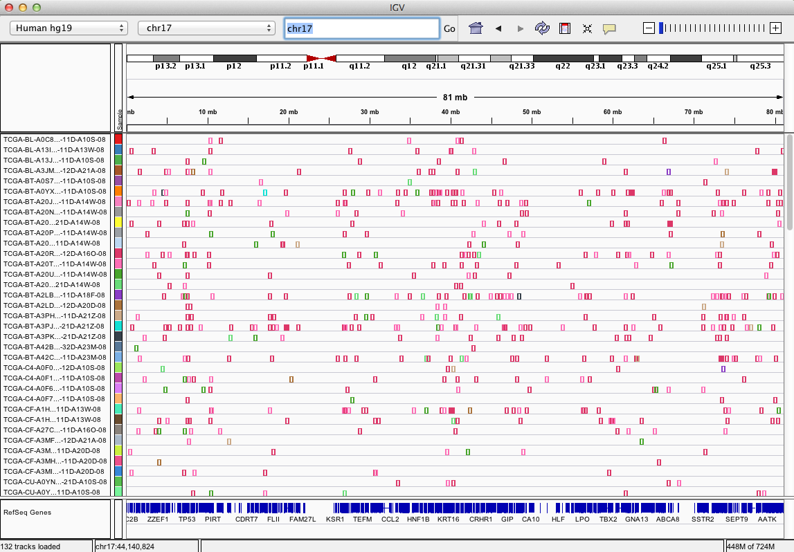 Maf - IGV Desktop Application
